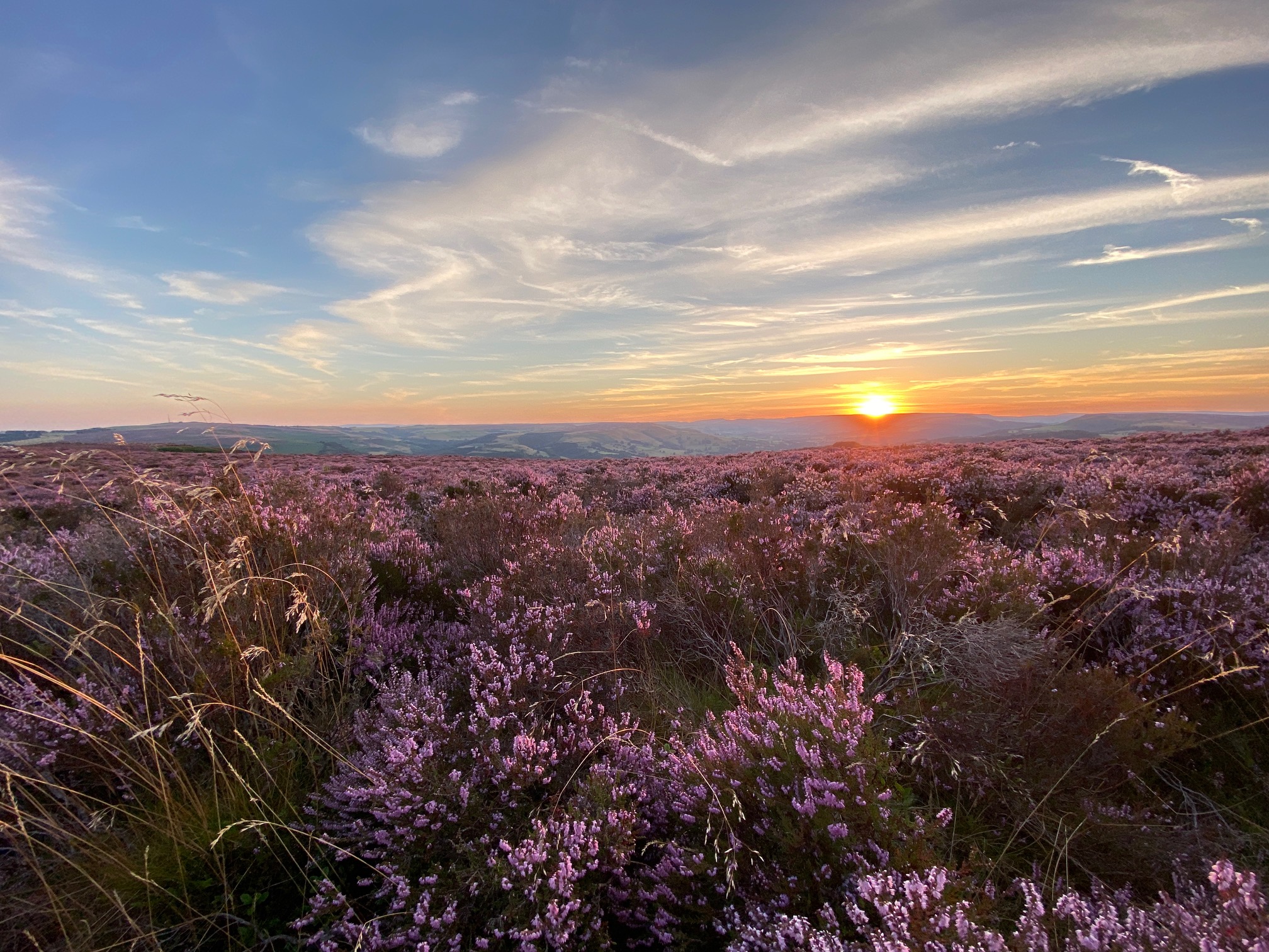 Our Favourite way to enjoy the summer evenings | HEM Architects